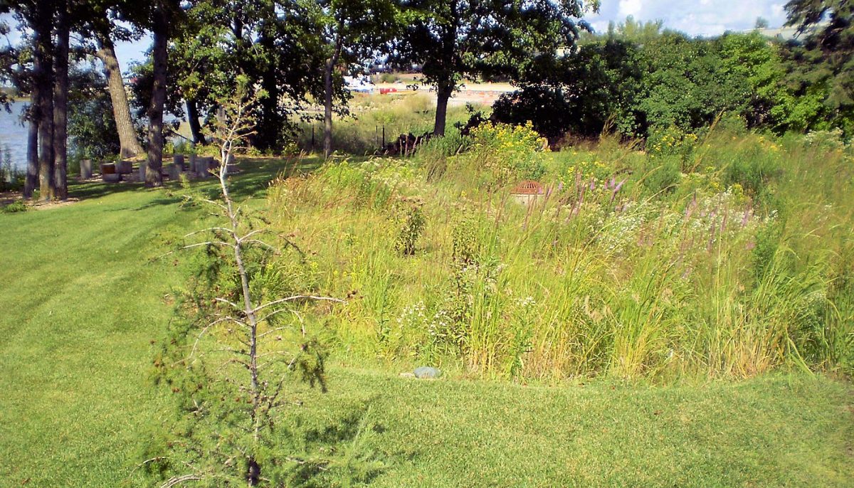 Minnesota Green Hotel Initiative- Rain Gardens & Lakeshore Restoration