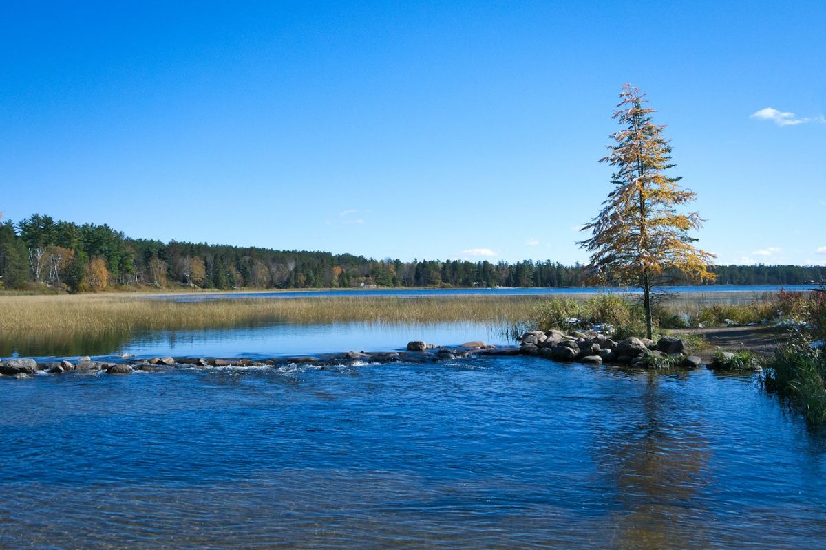 Itasca State Park & Mississippi Headwaters | Fishing, Hiking, Biking